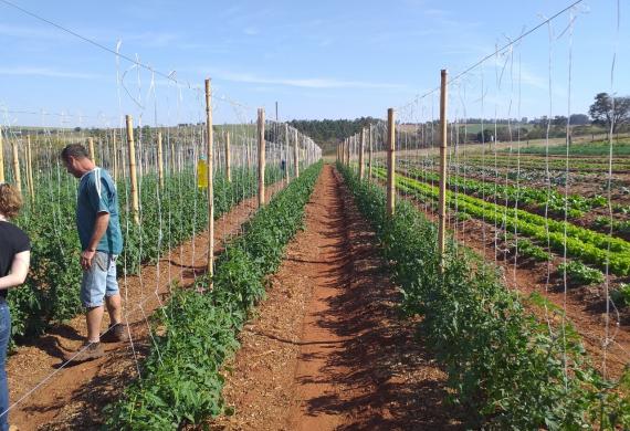 Instituto de Desenvolvimento Rural do Paraná