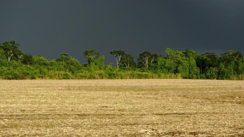 Boletim agrometeorológico do IDR-Paraná de outubro foi marcado por ...